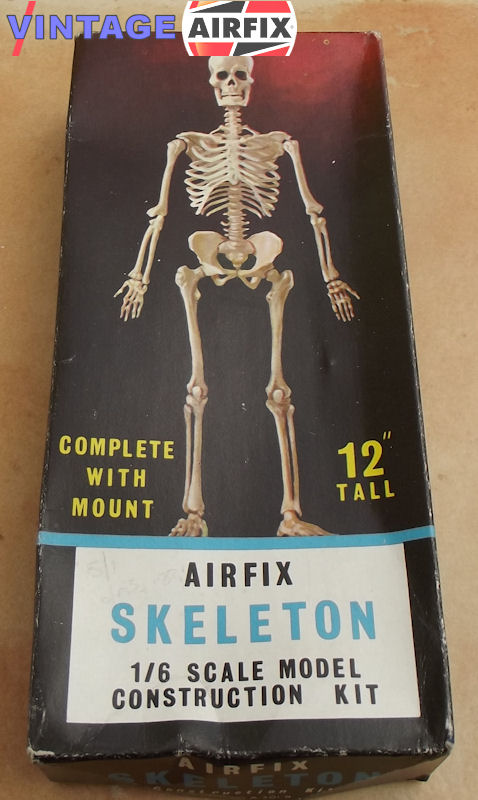 Human Skeleton – Vintage Airfix